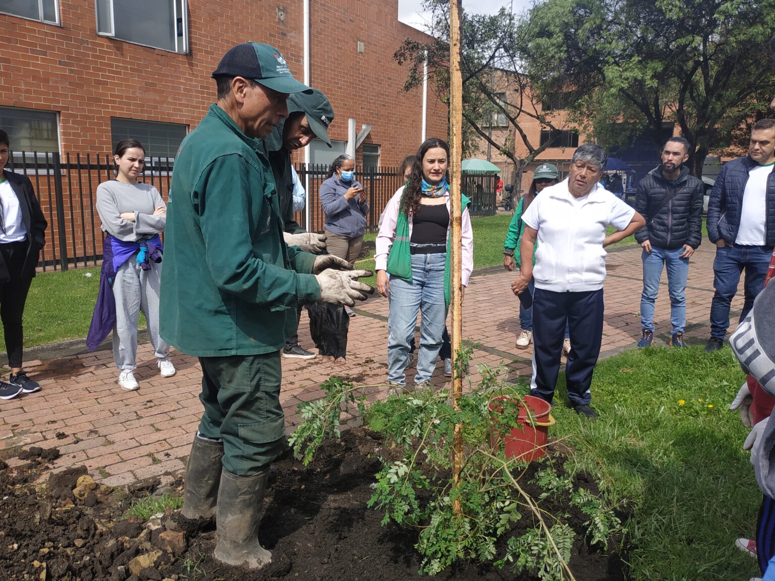 El parque de Fontibón que reverdeció con nuevas especies arbóreas ...
