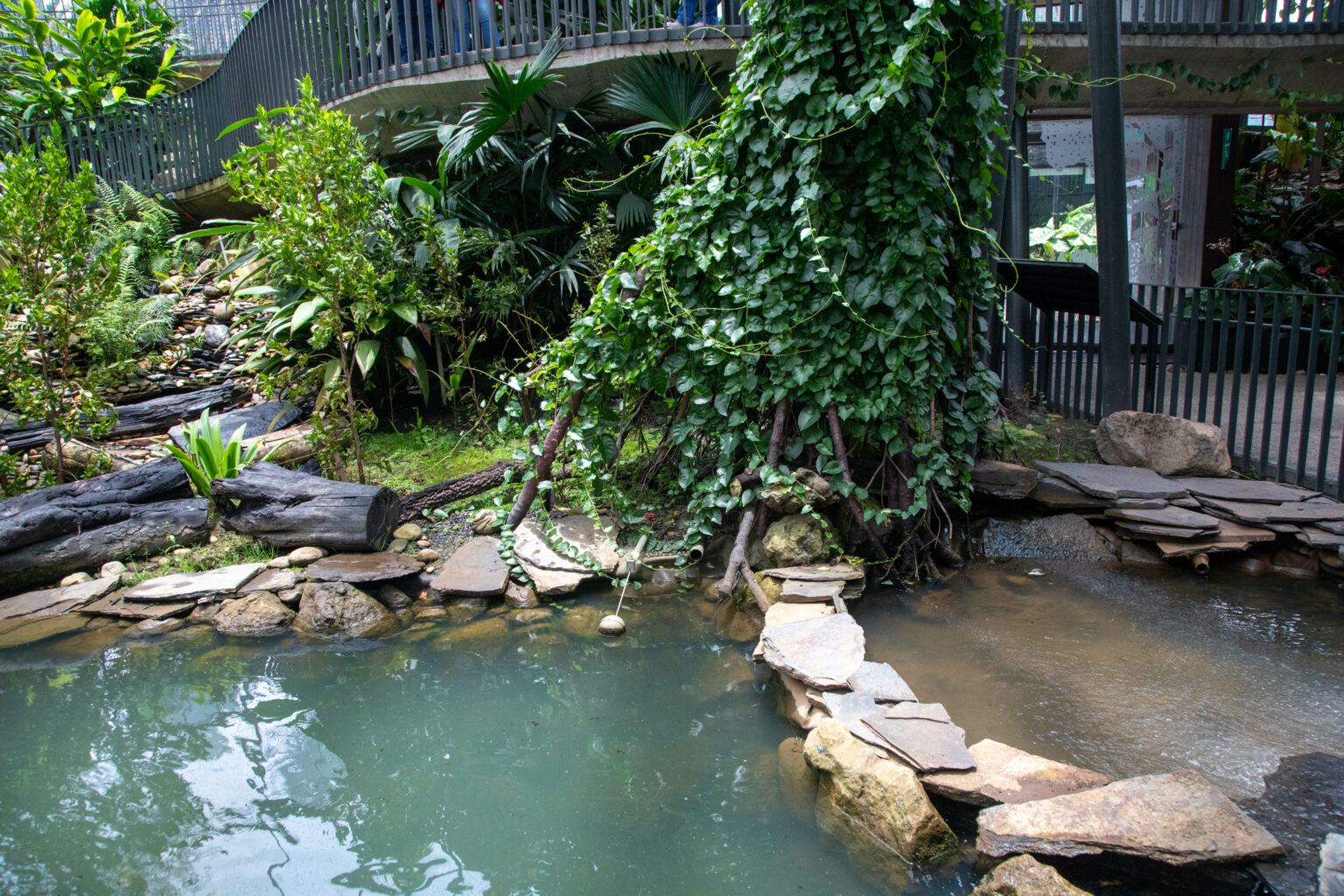 Galería Tropicario - Jardín Botánico de Bogotá