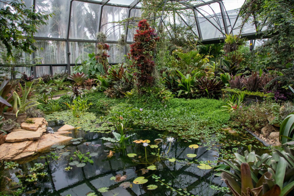Galería Tropicario - Jardín Botánico de Bogotá