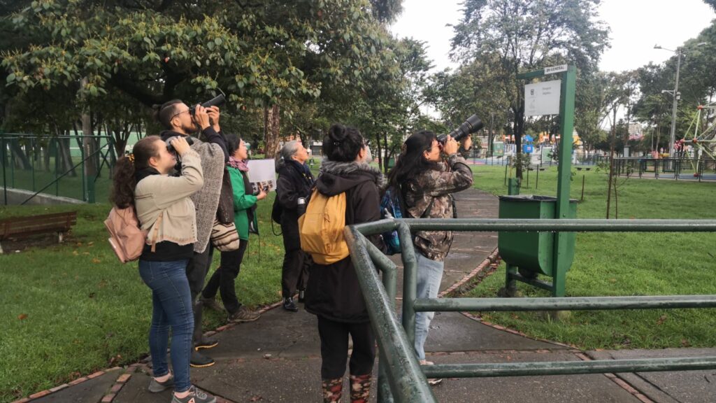 Historias del verde urbano: Biodiversidad del bosque urbano Ciudad ...